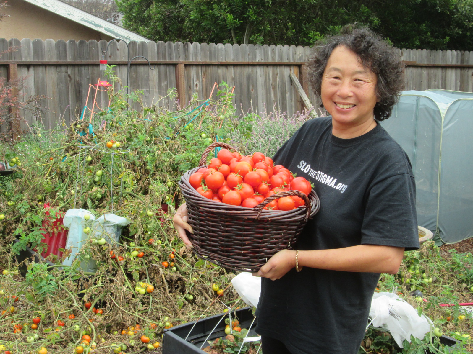 Janice Fong Wolf – 25th Anniversary Highlight – The Community ...